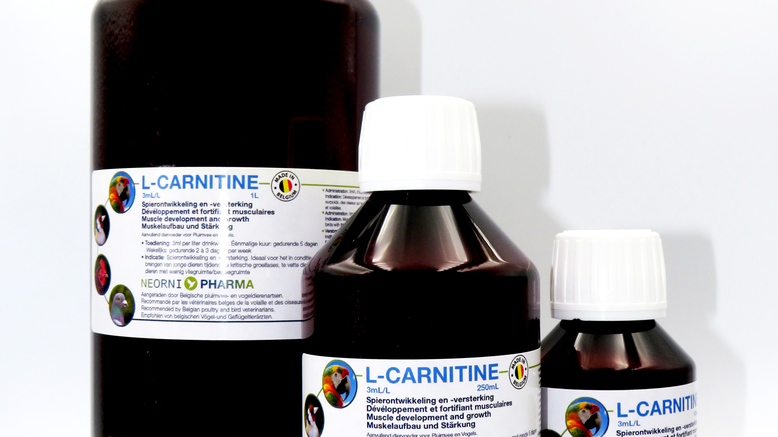 L-CARNITINE 250 ml | NeorniPharma